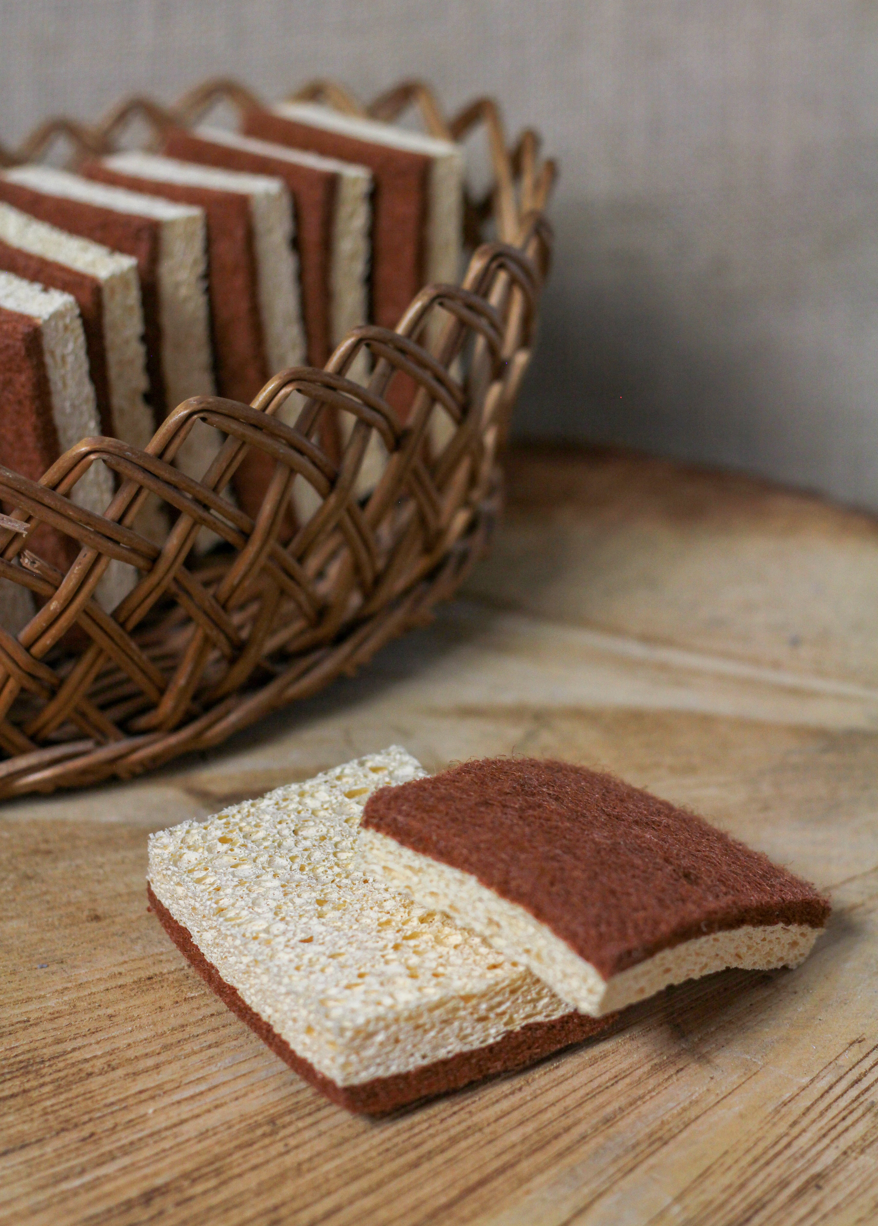 Palm Fiber Sponge – Creating Smaller Footprints